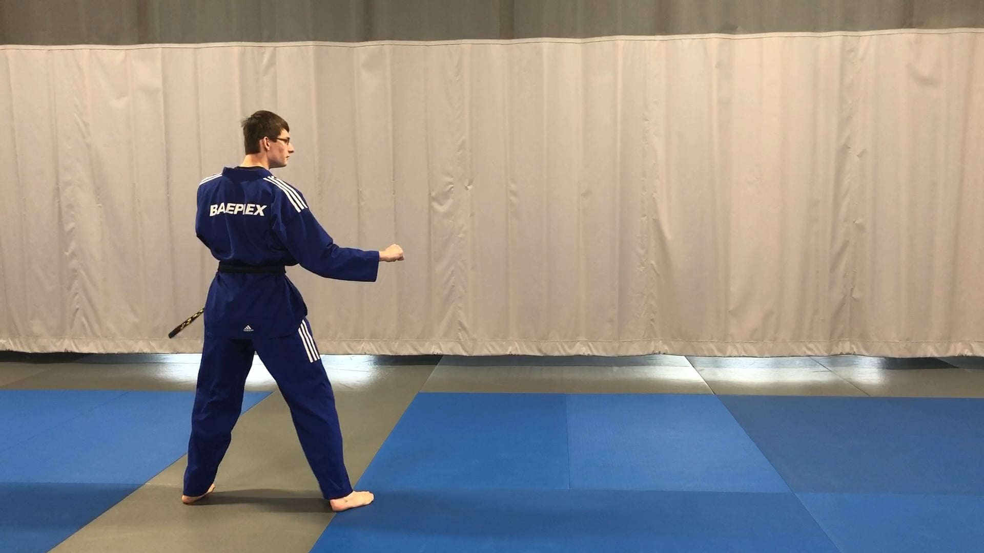 Side Snap Kick on Vimeo