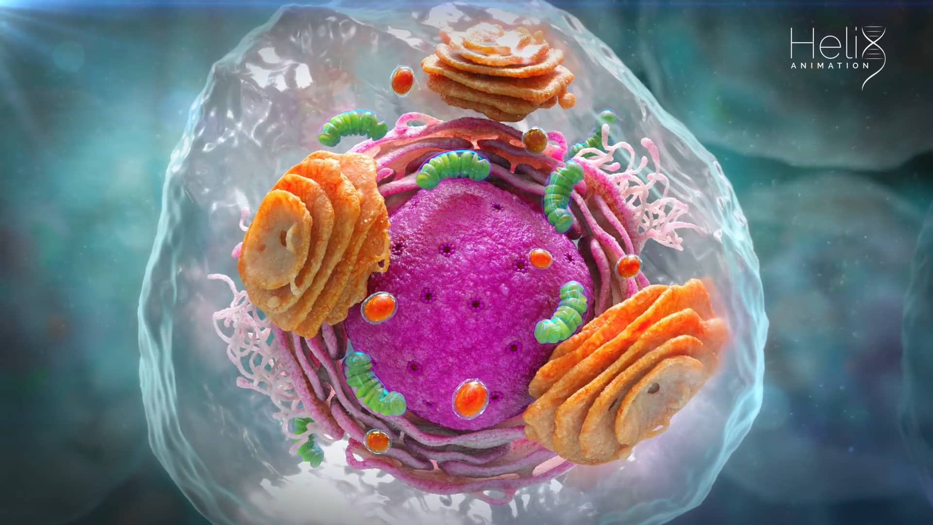 What's in a Cell? on Vimeo