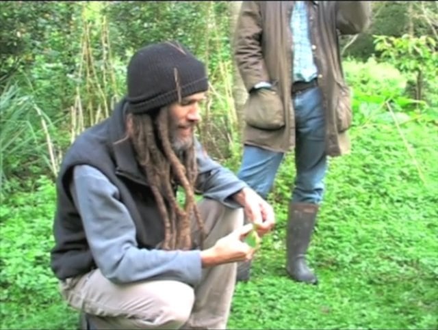 On Dock (Rumex) As Wild Edible Food Part 1 | Frank Cook on Vimeo