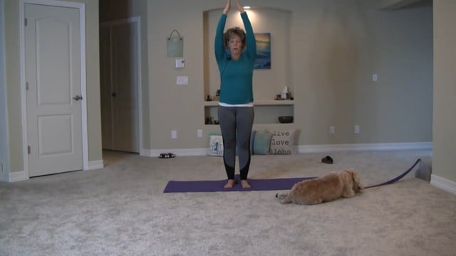 Corey Stiles Yoga on Vimeo
