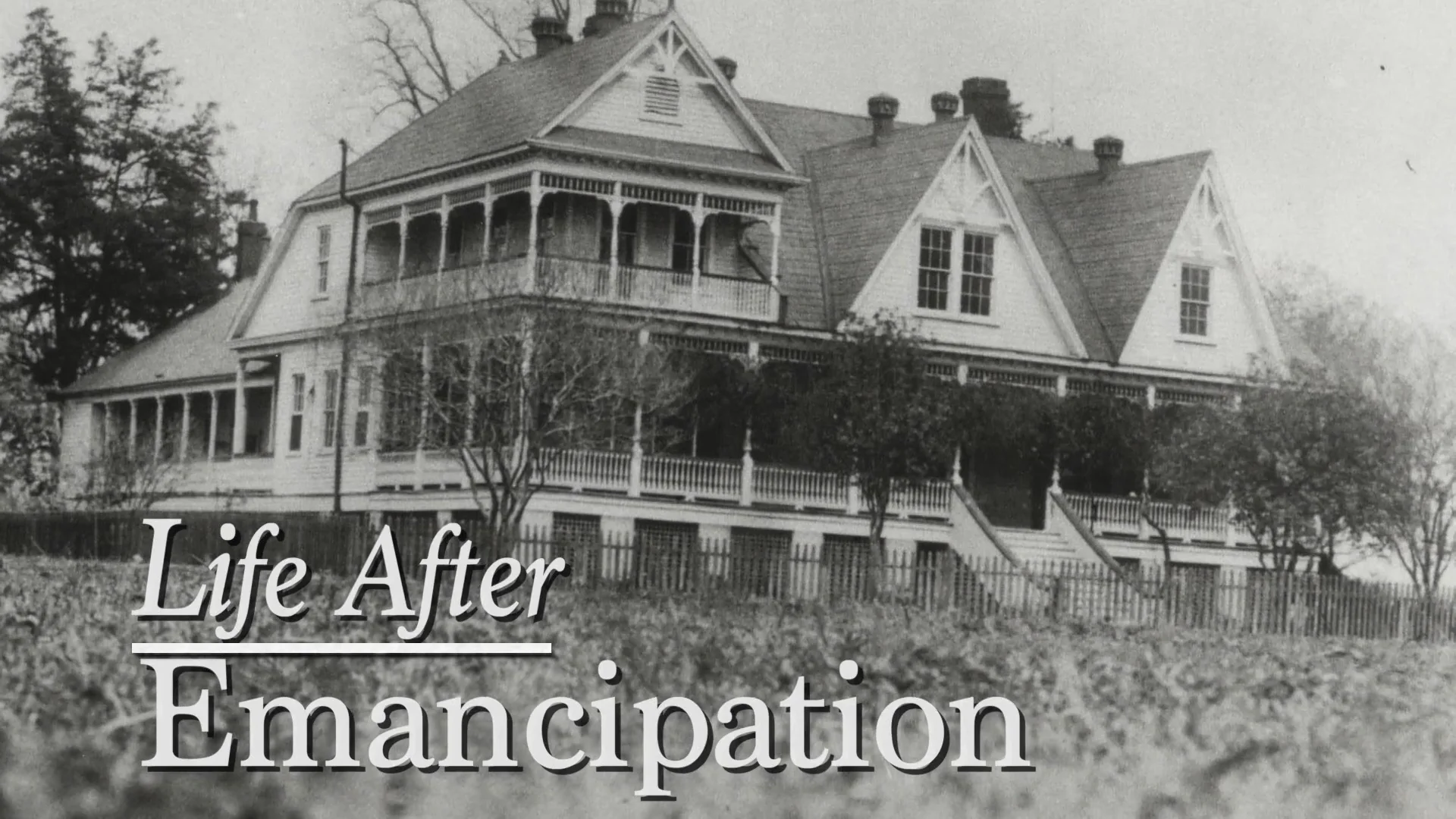 1. Life After Emancipation on Vimeo