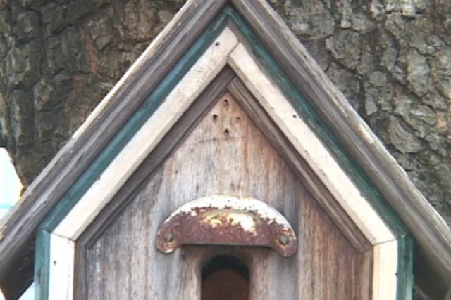 The Complete Matt Irvine Portfolio on Vimeo