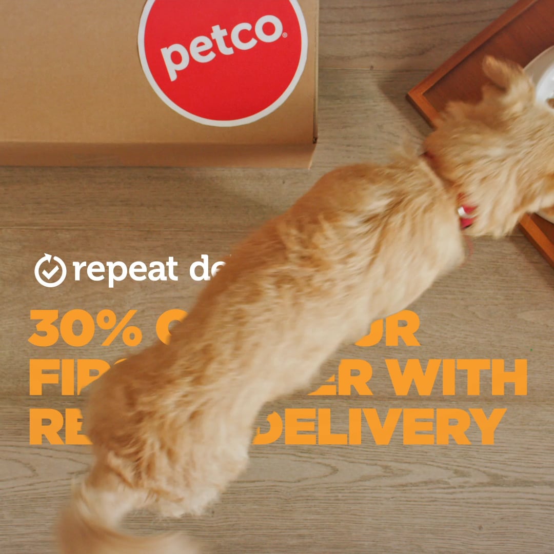Petco | Repeat Delivery on Vimeo