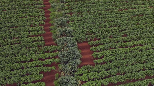 Intensification — Science Learning Hub