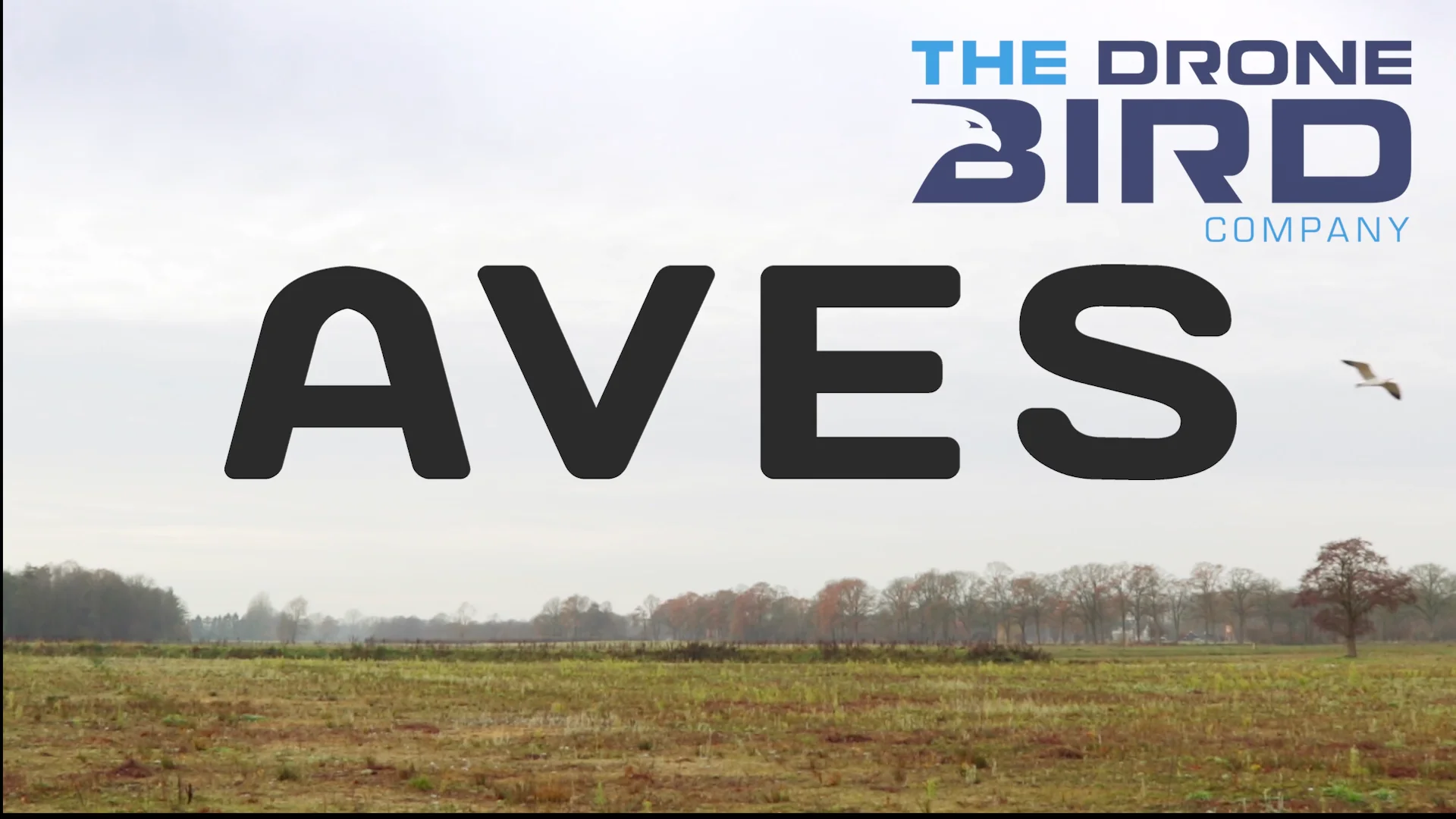 AVES Series