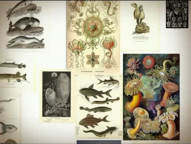 Sea Orchestra: The Making Of on Vimeo