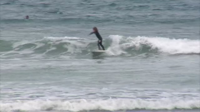 Fishoes 24_03_2020 on Vimeo