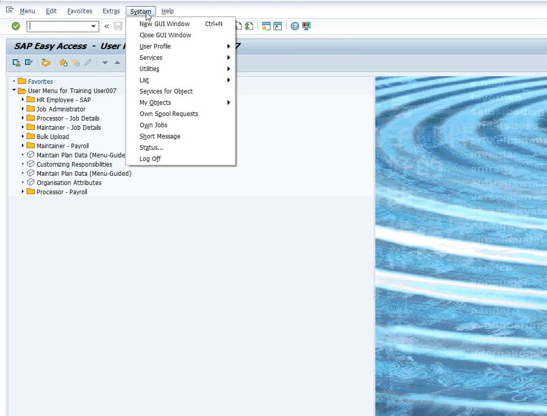 CCR_SAP Printer Settings_New Demo on Vimeo