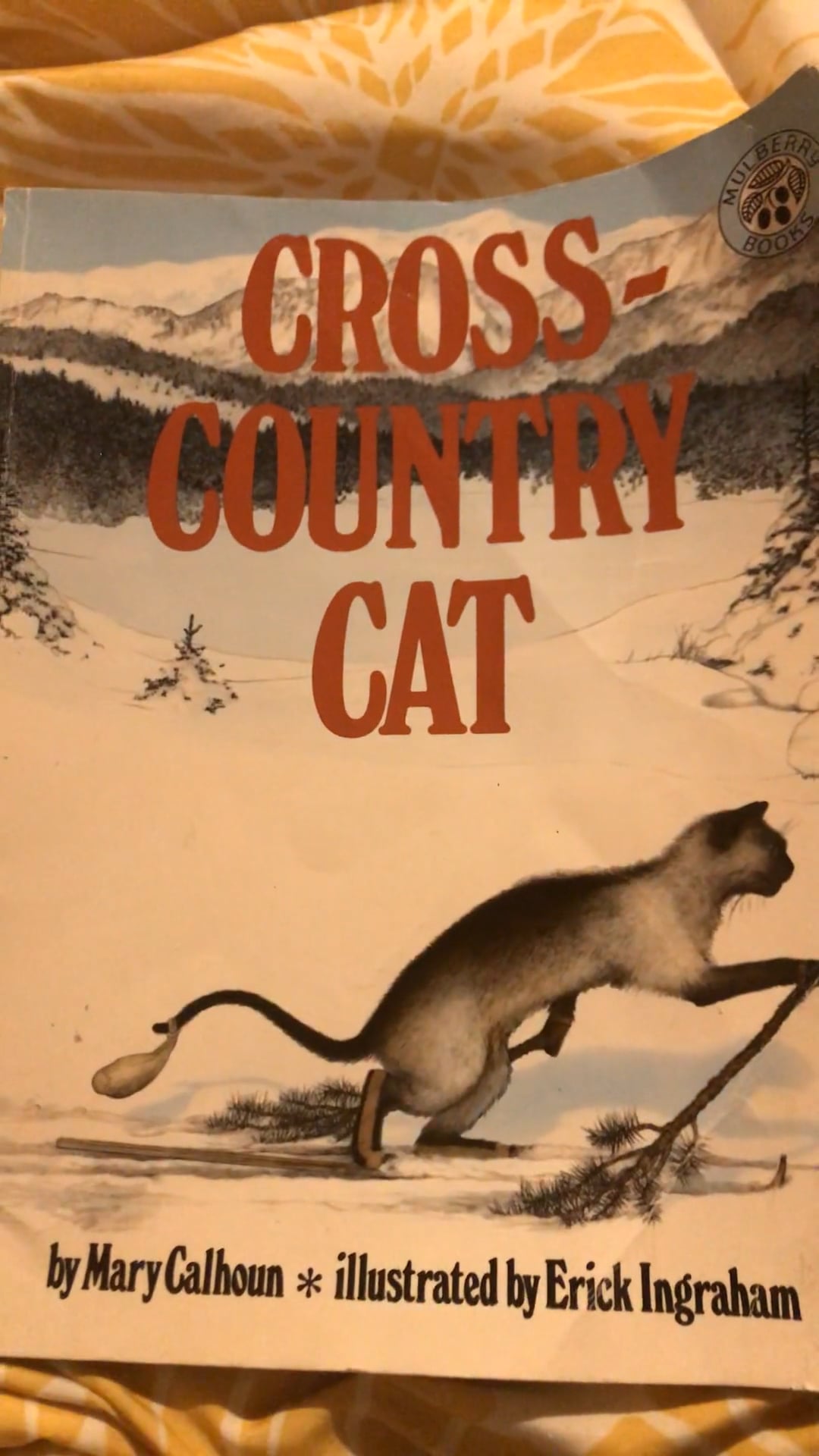 Cross Country Cat on Vimeo