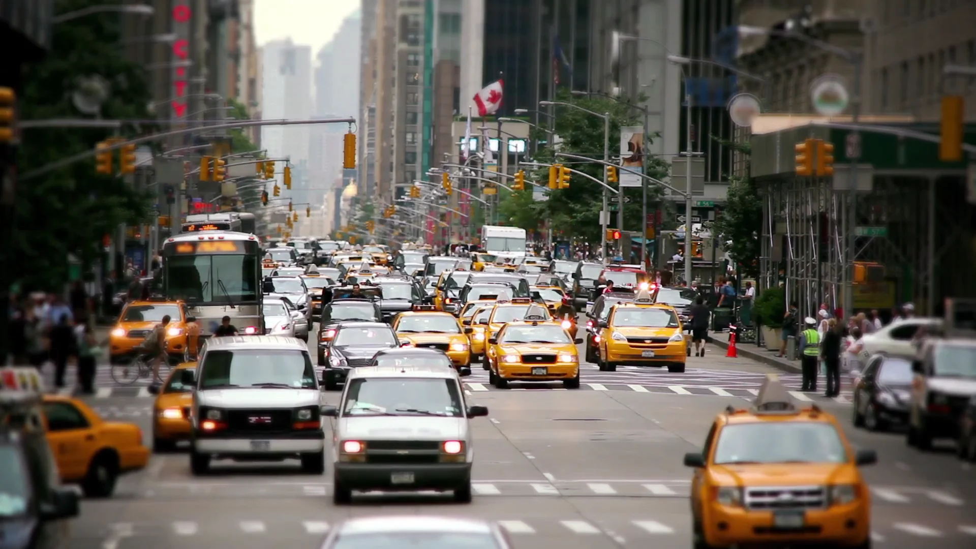 TDI CHPE 0830 on Vimeo