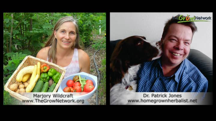 Dr Patrick Jones - Herbal Treatment Of Wounds And Lacerations on Vimeo