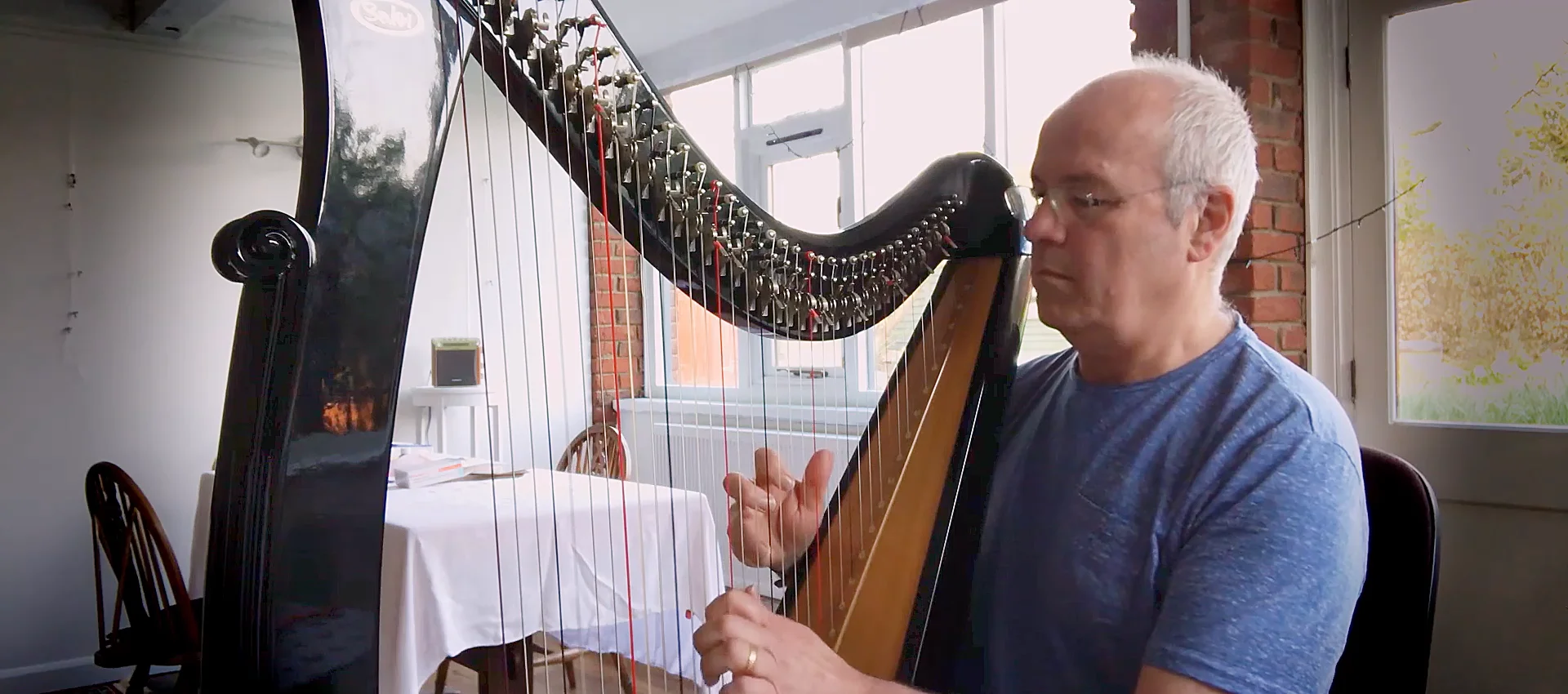 Seagull - Sue Rothstein on Vimeo