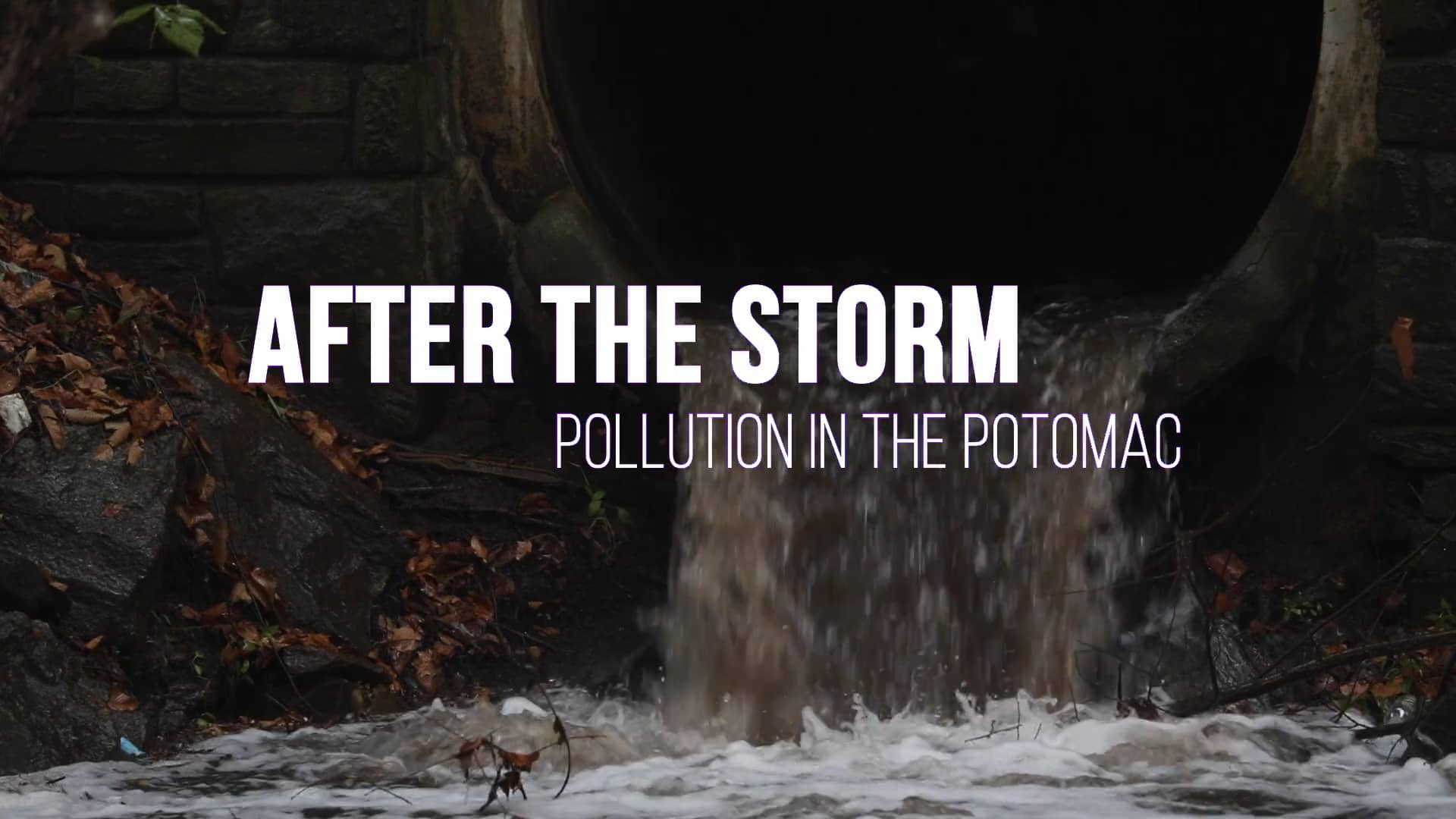 After the Storm: Pollution in the Potomac on Vimeo