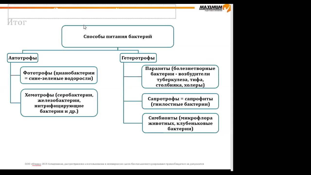 Занятие 29 ege_11_bl_group_bio_normal_opt_w2_151219_1825_tro_gro on Vimeo