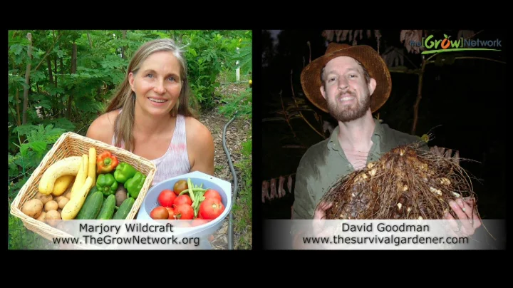 David the Good - Compost Everything (Even Your Enemies) on Vimeo