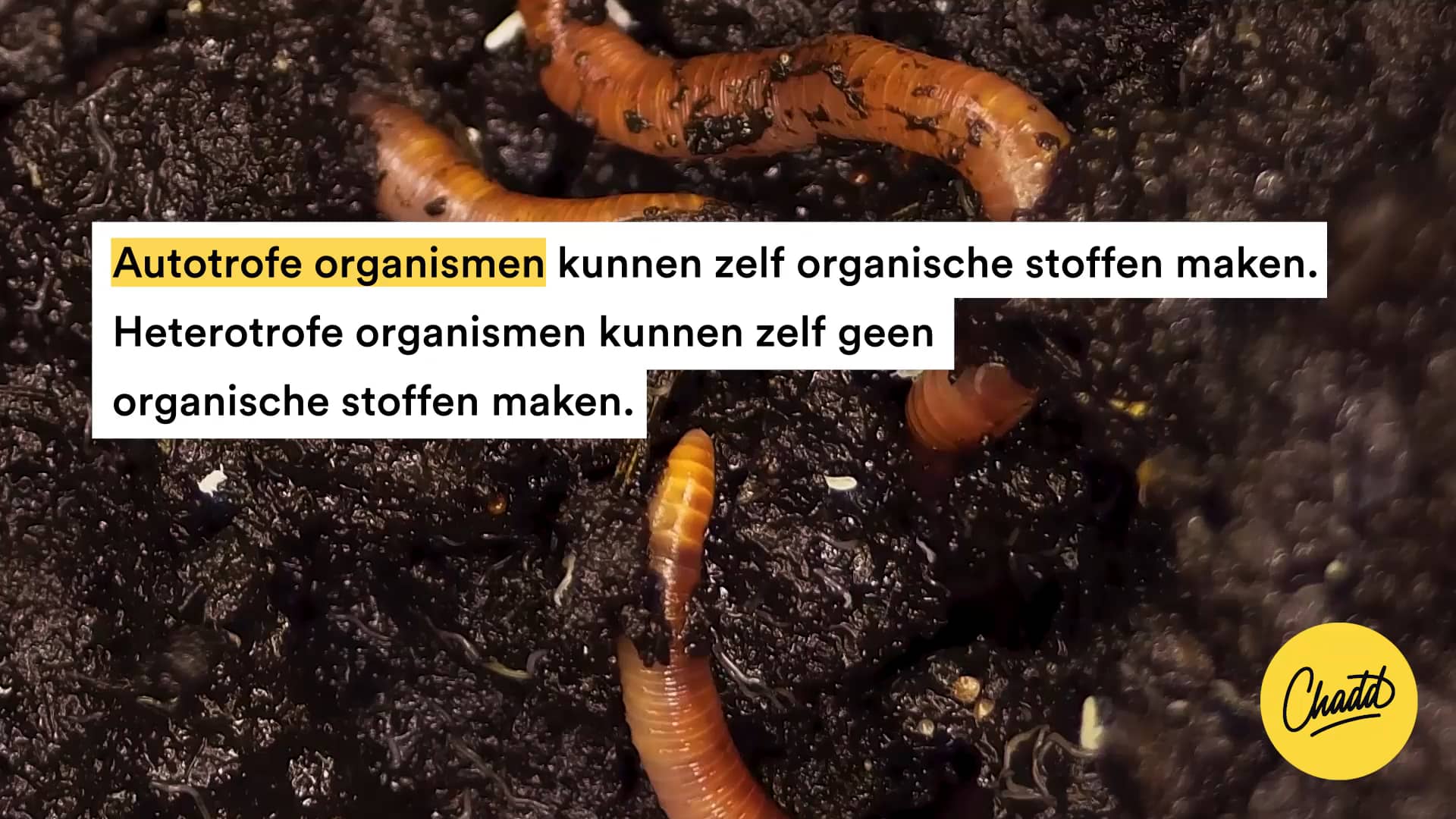 autotroof-en-heterotroof-on-vimeo