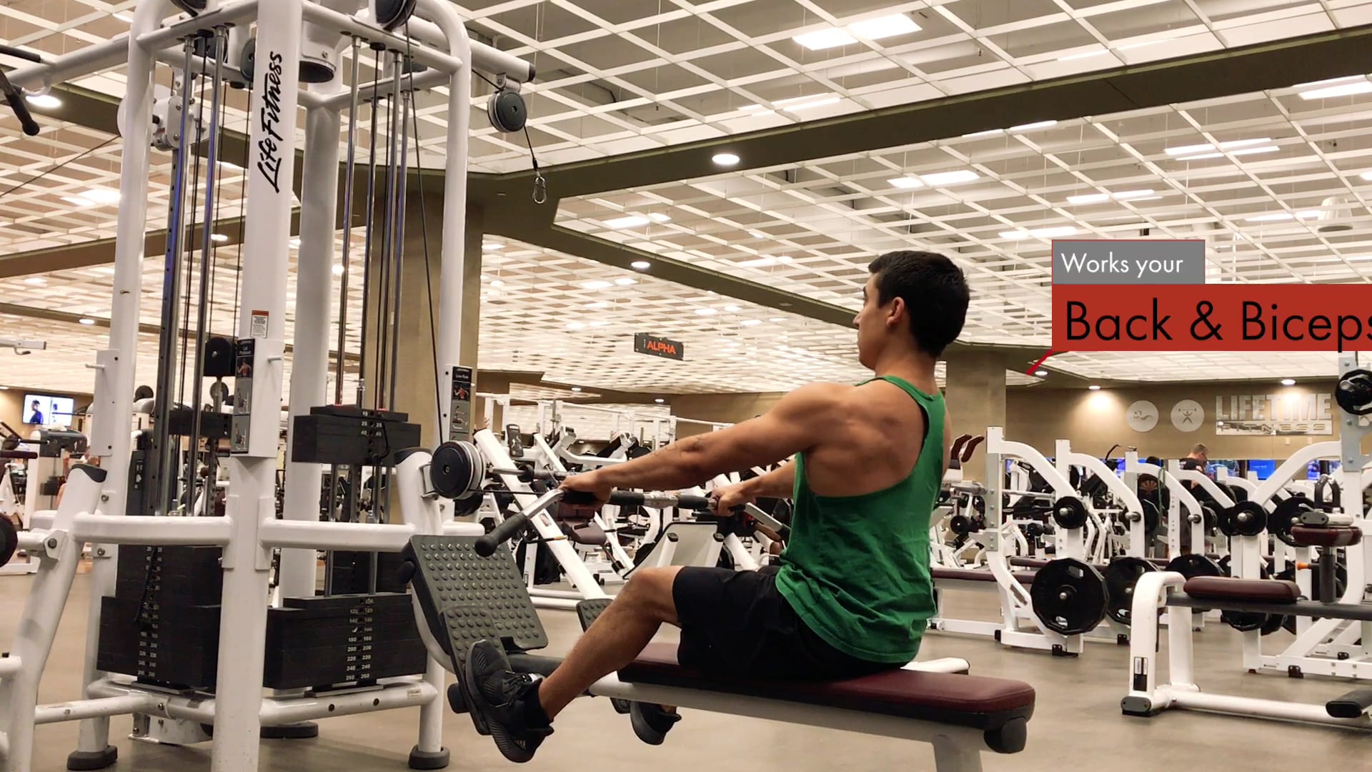 (OH) Overhand Seated Cable Row on Vimeo