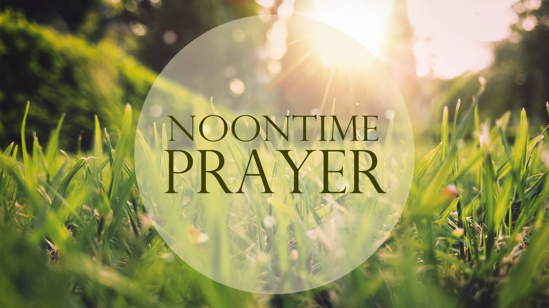 Noontime Prayer - Day 6 on Vimeo