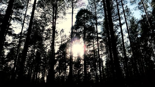 100+ Free Background Video & Background Videos, HD & 4K Clips - Pixabay