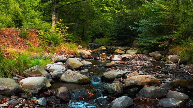 Montagne Fleuve Nature - Free video on Pixabay
