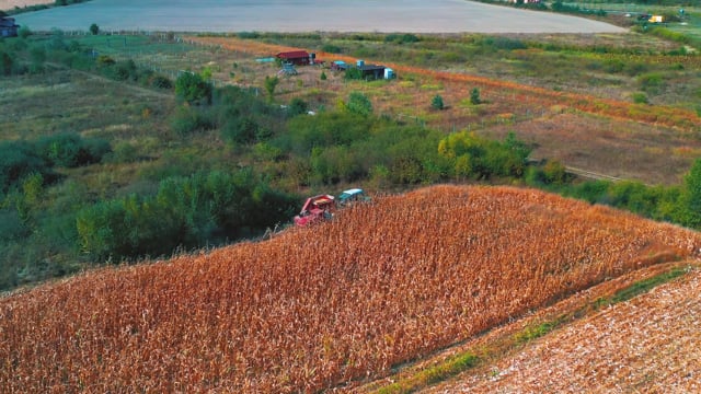100+ Free Farmer & Agriculture Videos, HD & 4K Clips - Pixabay