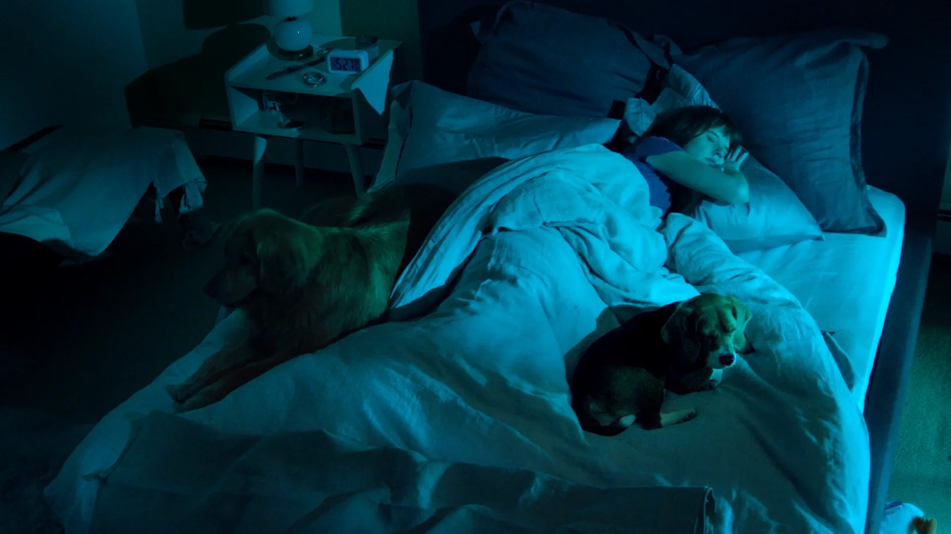 Humira "Bed Buddies" on Vimeo