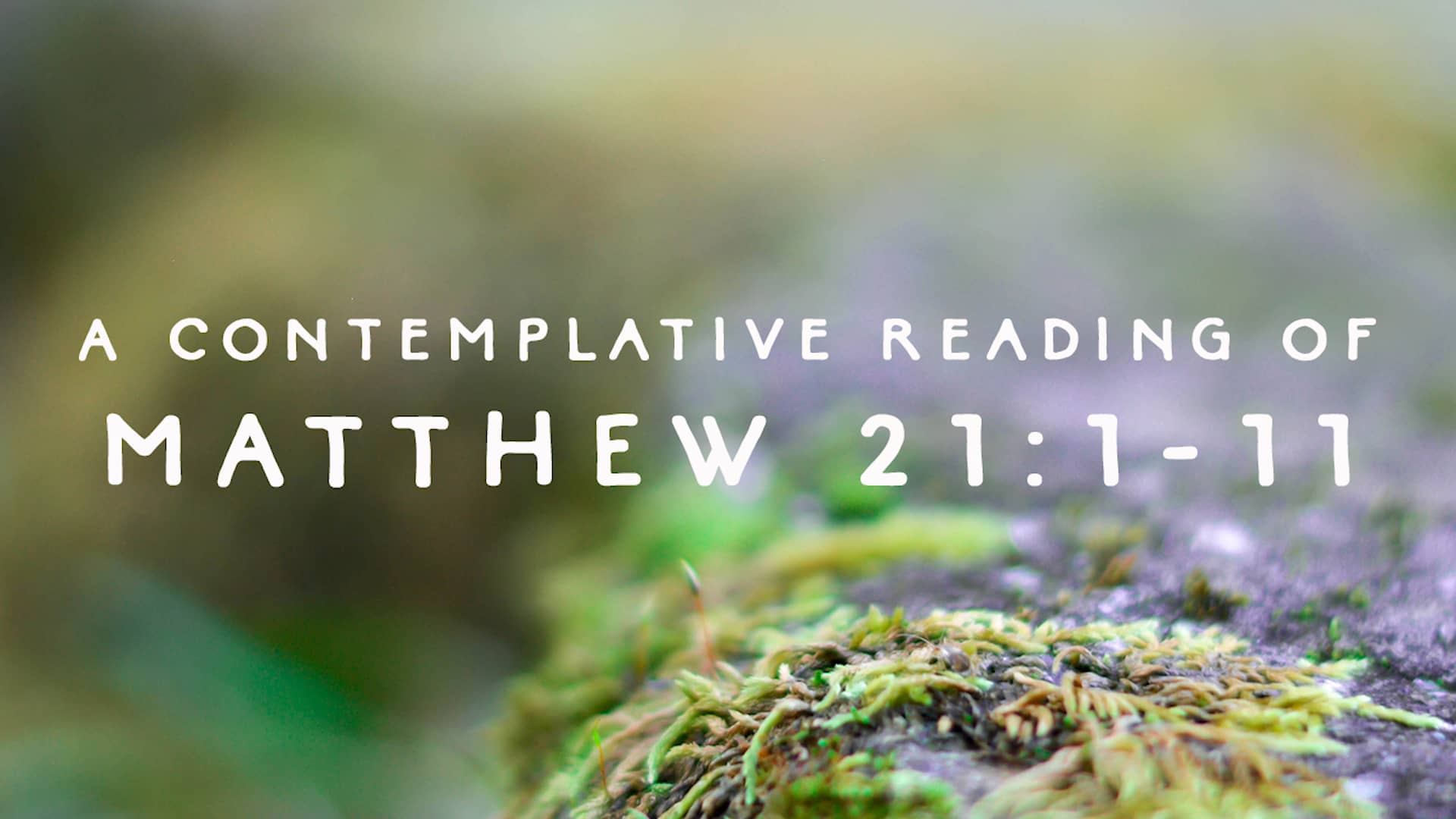 A Contemplative Reading of Matthew 21:1-11 (Jesus' entry into Jerusalem ...