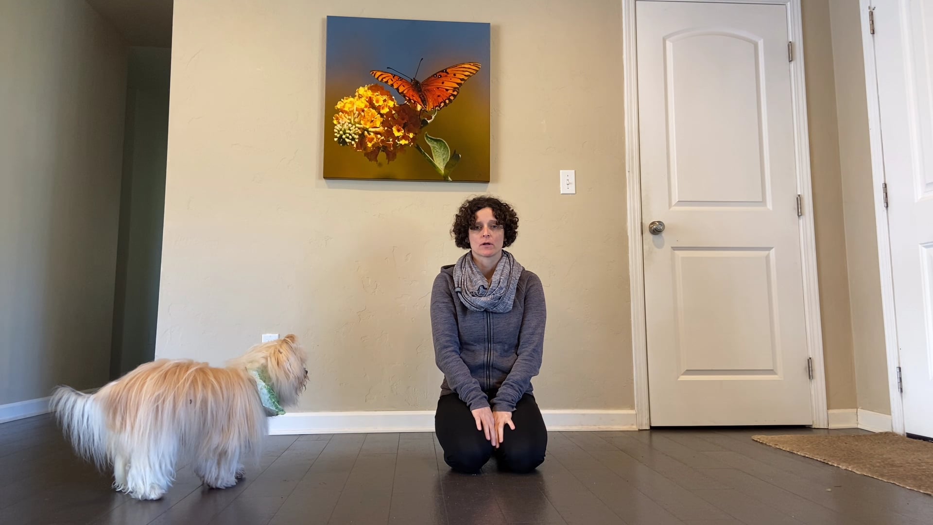 Watch Body, Mind, Movement: Spine Module Online | Vimeo On Demand on Vimeo