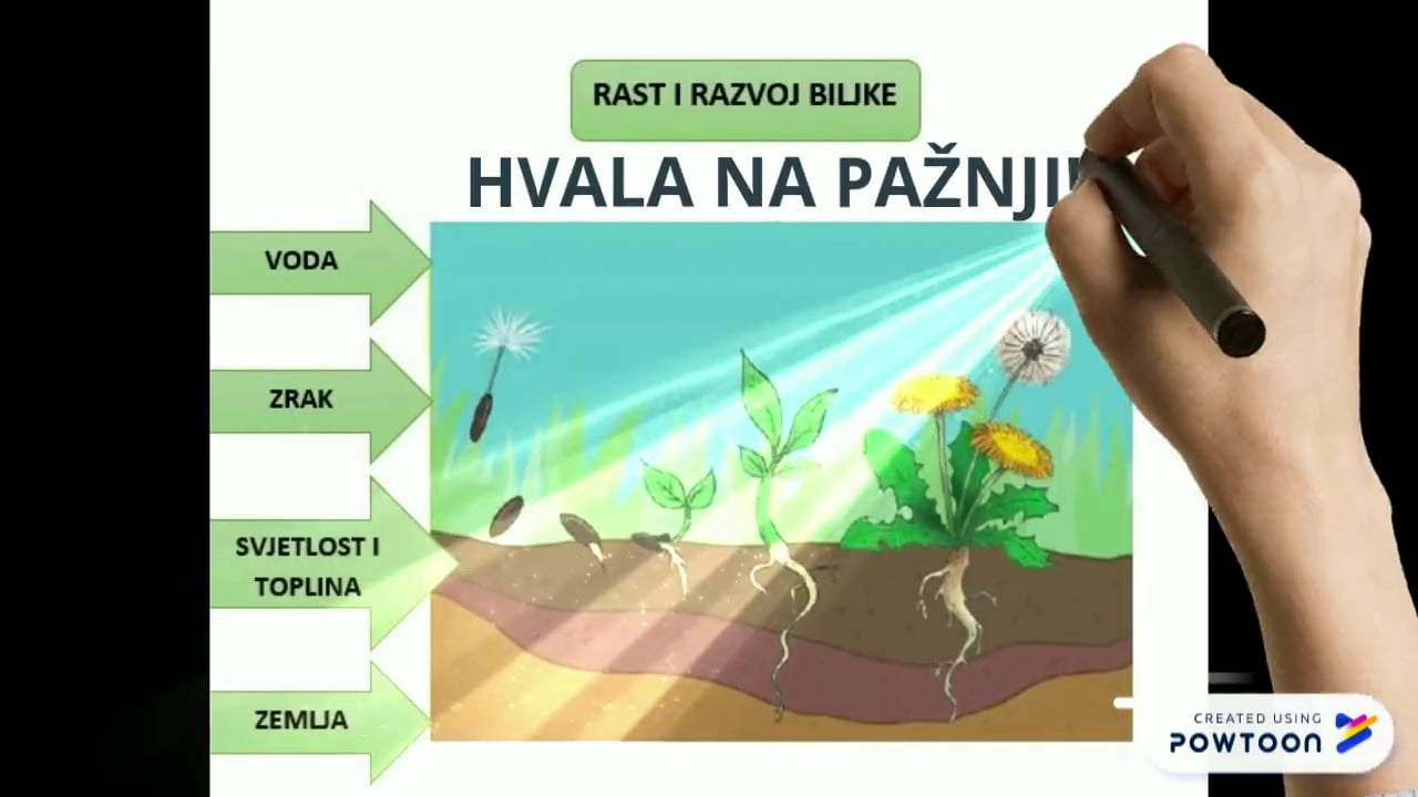 RAST I RAZVOJ BILJKE - 1. RAZRED on Vimeo