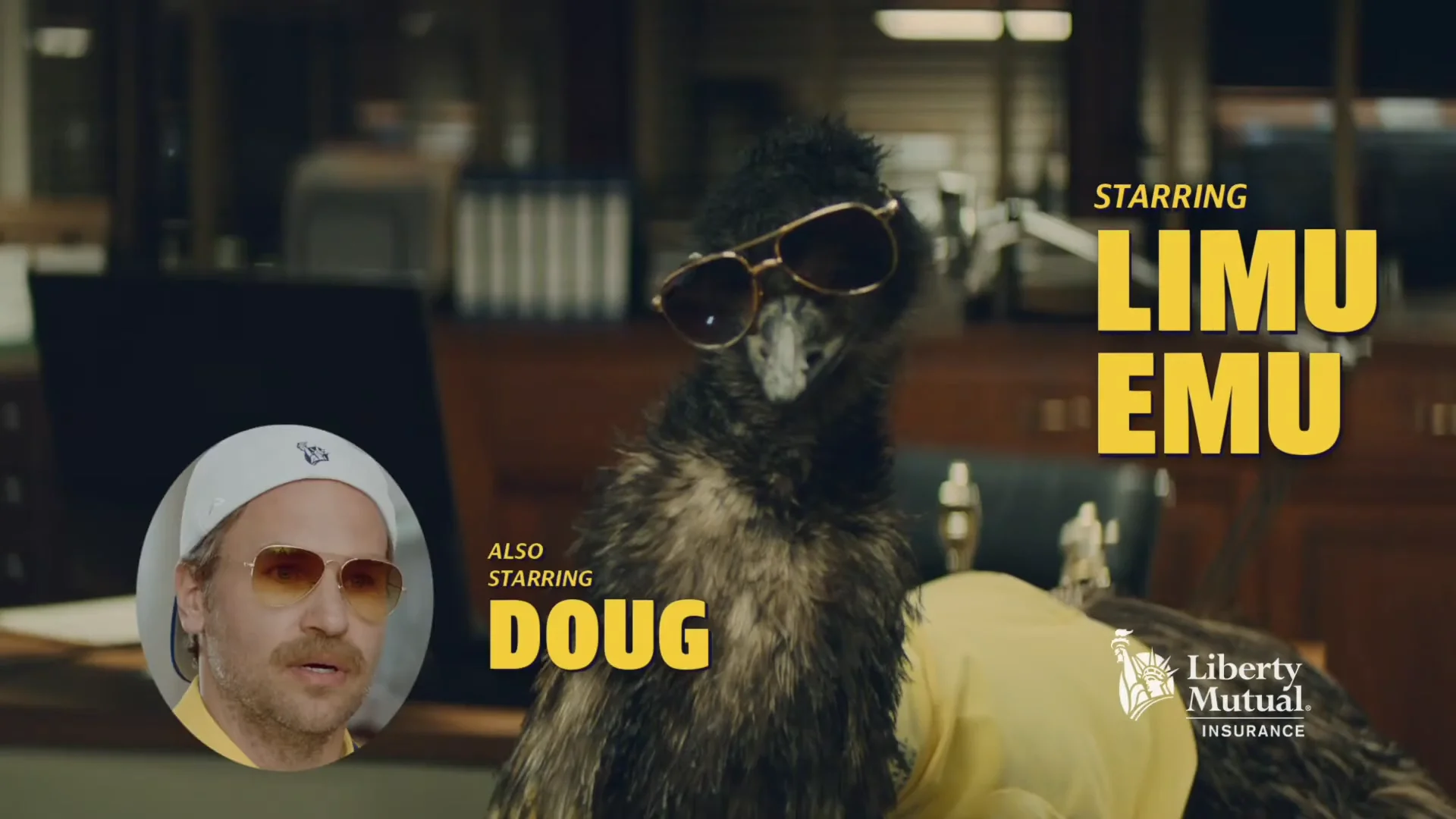 LiMu Emu & Doug Montage - Liberty Mutual Insurance Commercial