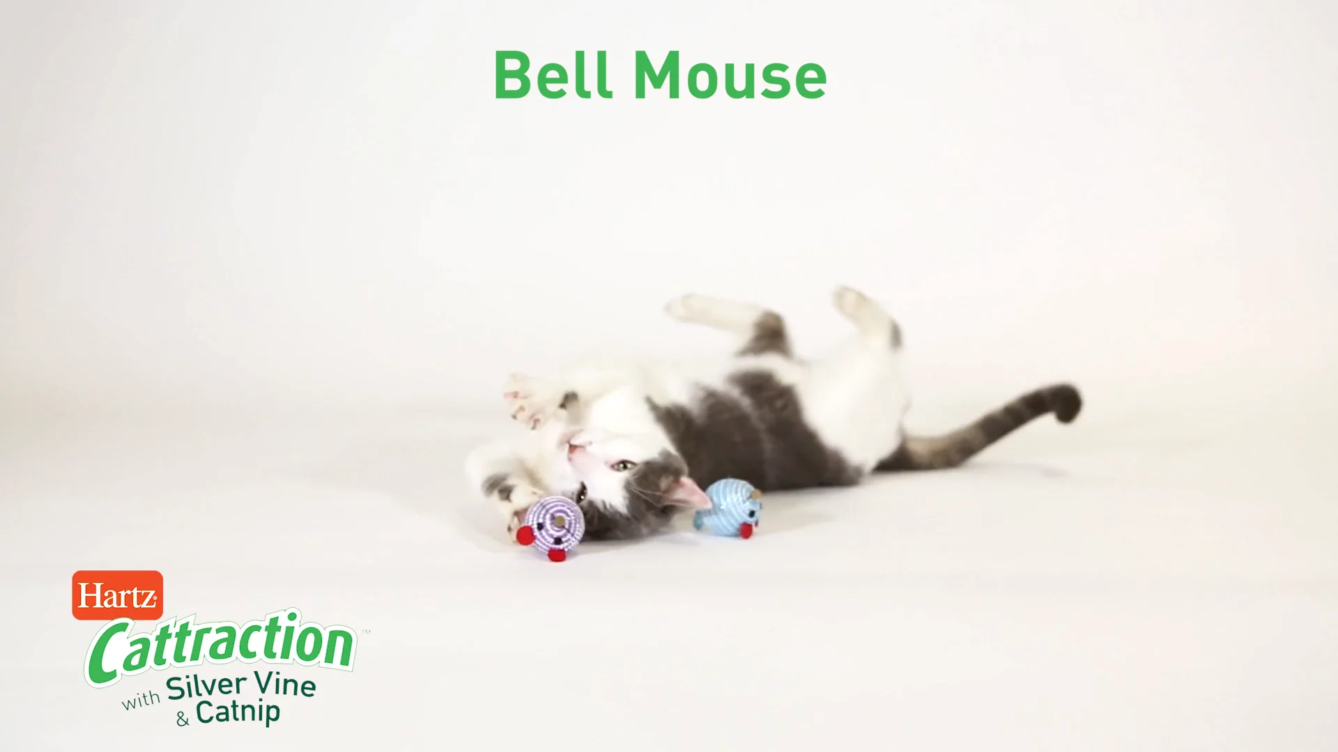 Hartz® Cattraction Bell Mouse Cat Toy on Vimeo