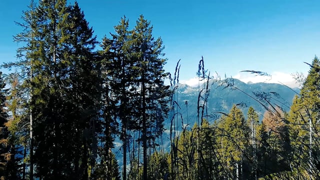 Dolomiti, Alpi, Mountains. Free Stock Video - Pixabay