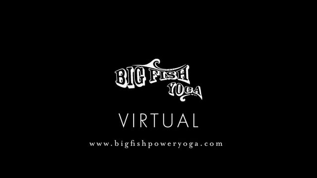 Big Fish Virtual on Vimeo