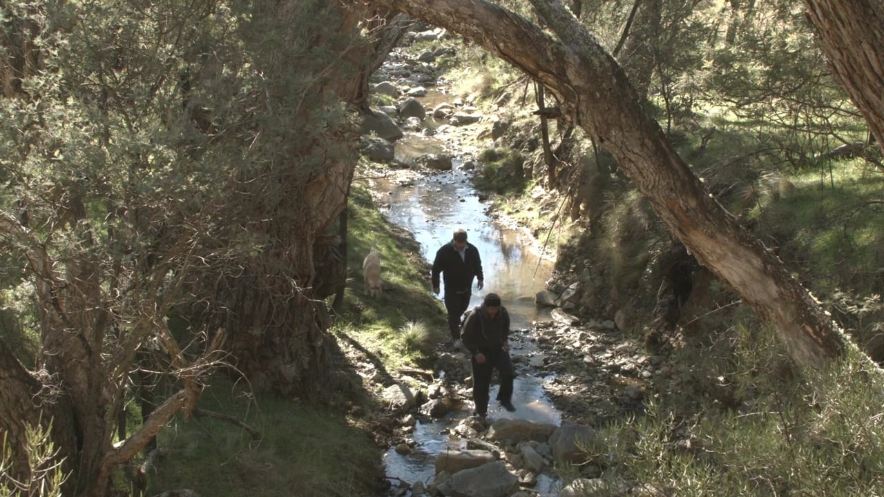 SBS Join In Campaign on Vimeo