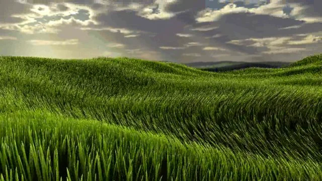 Real-Time Grass Rendering (Part 3) on Vimeo