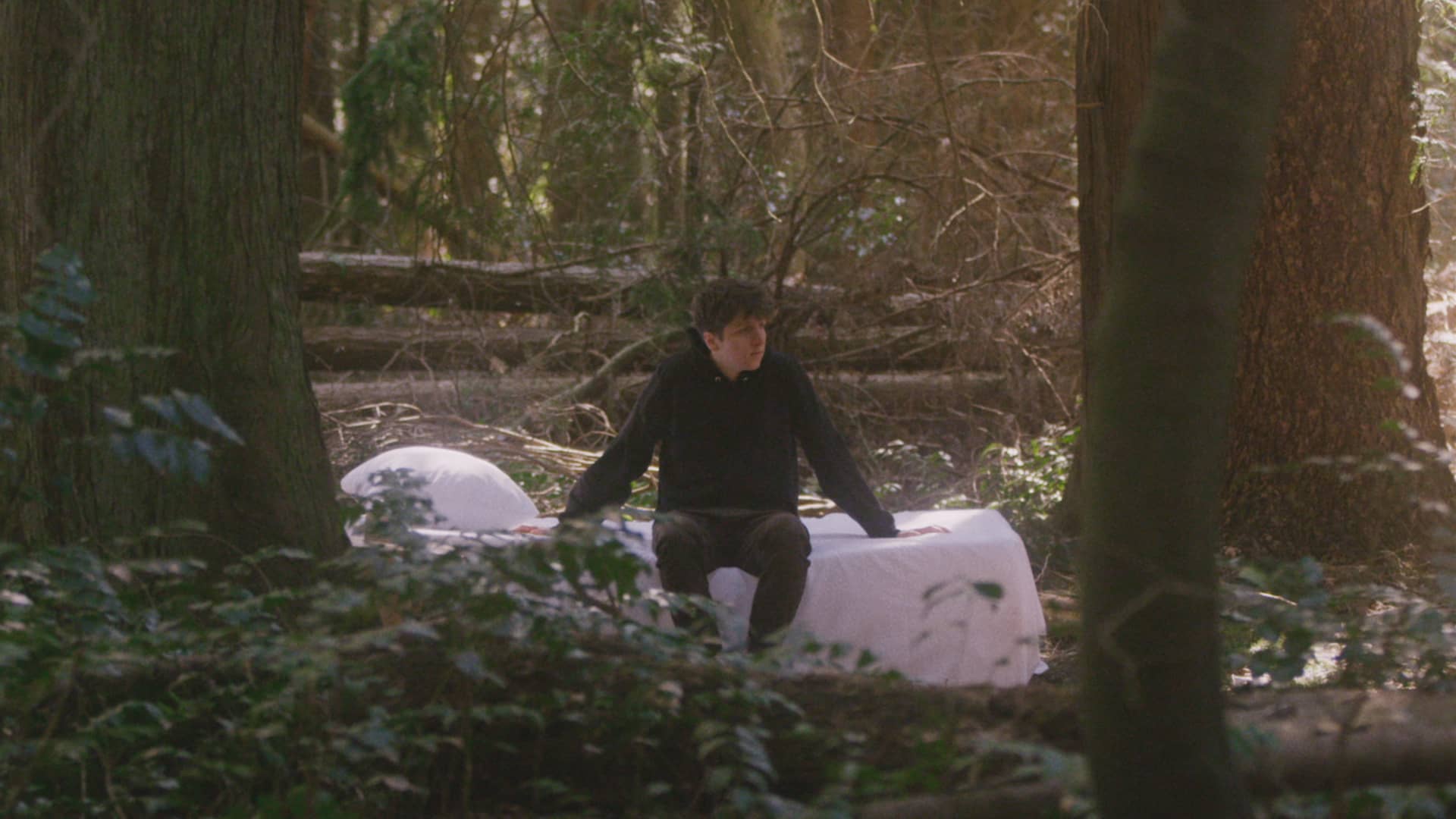 powfu-death-bed-on-vimeo