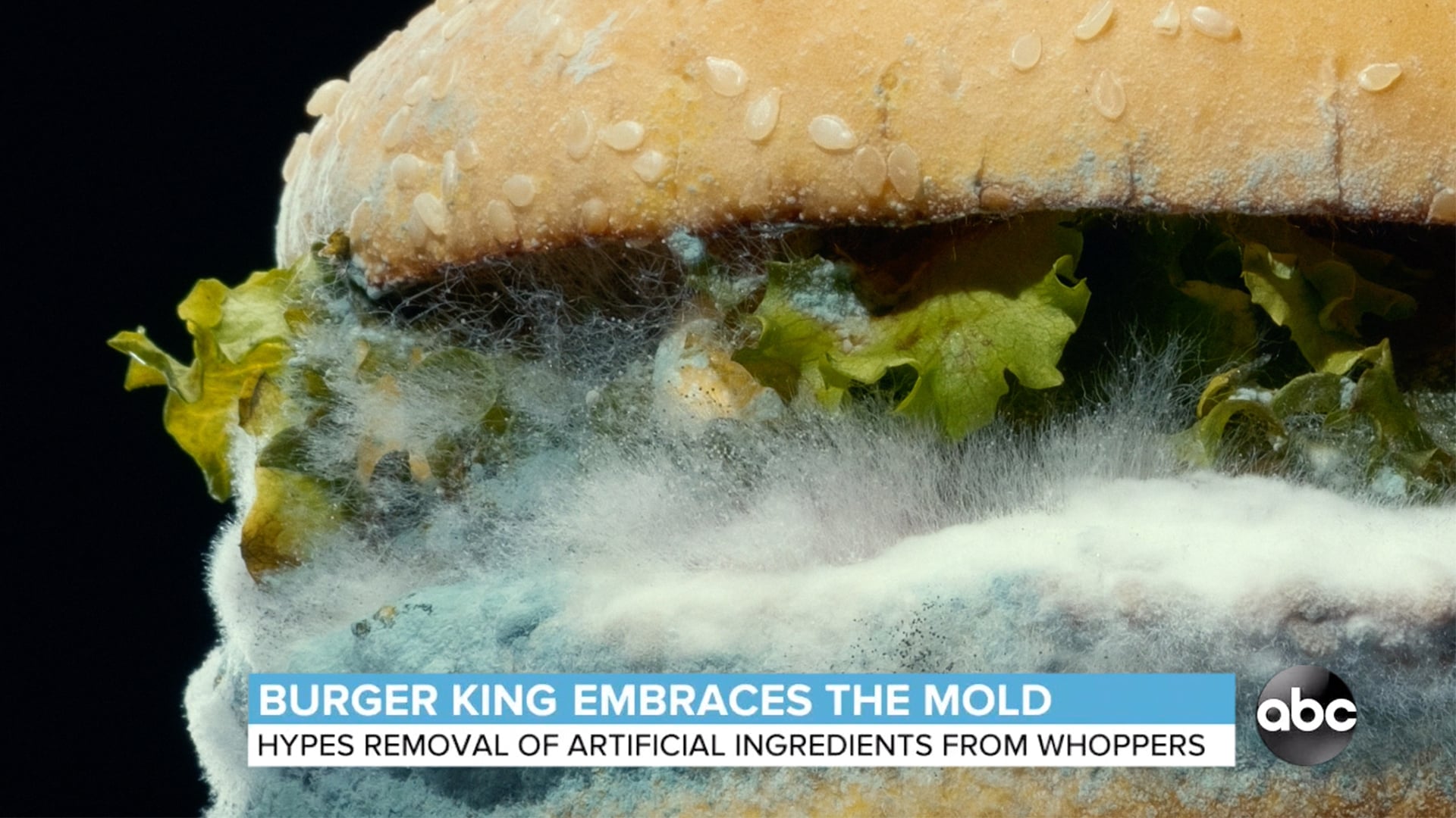 Moldy Whopper - Case study on Vimeo