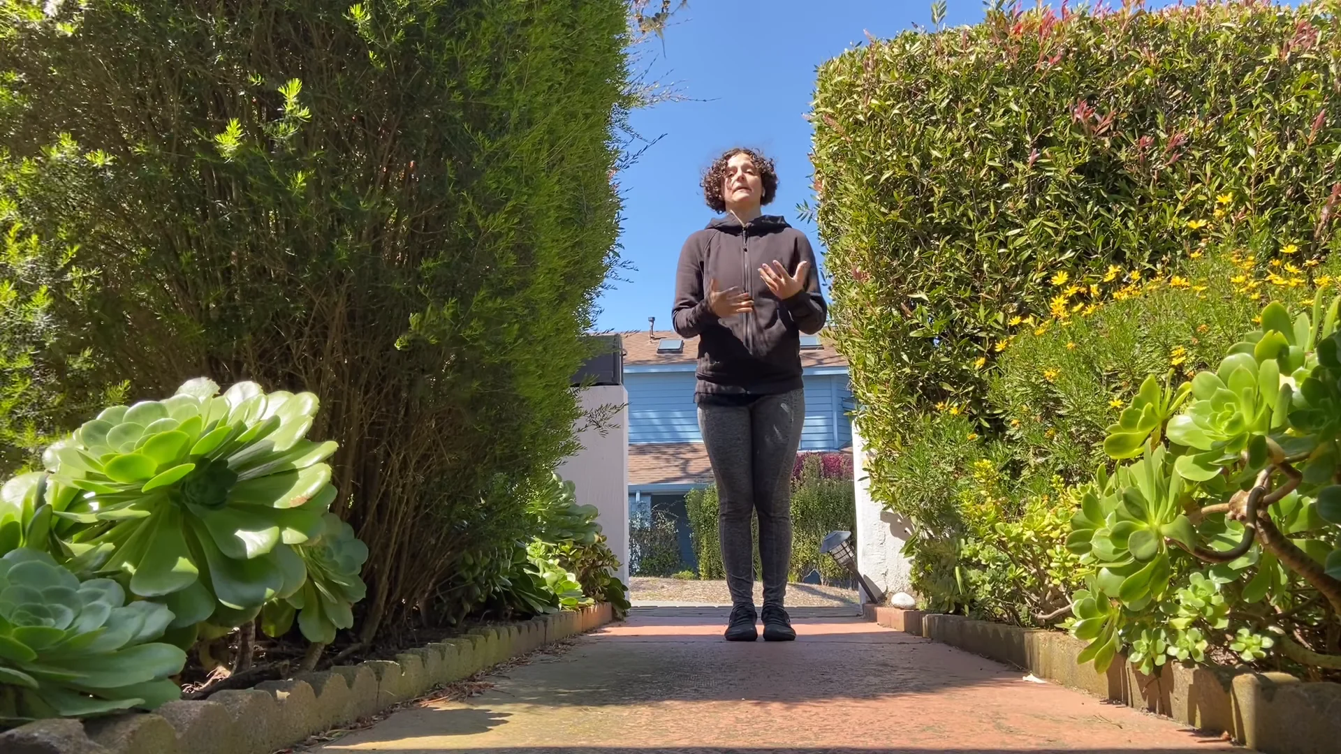 Watch Body, Mind, Movement: The Pelvis and its Role in Movement Online ...