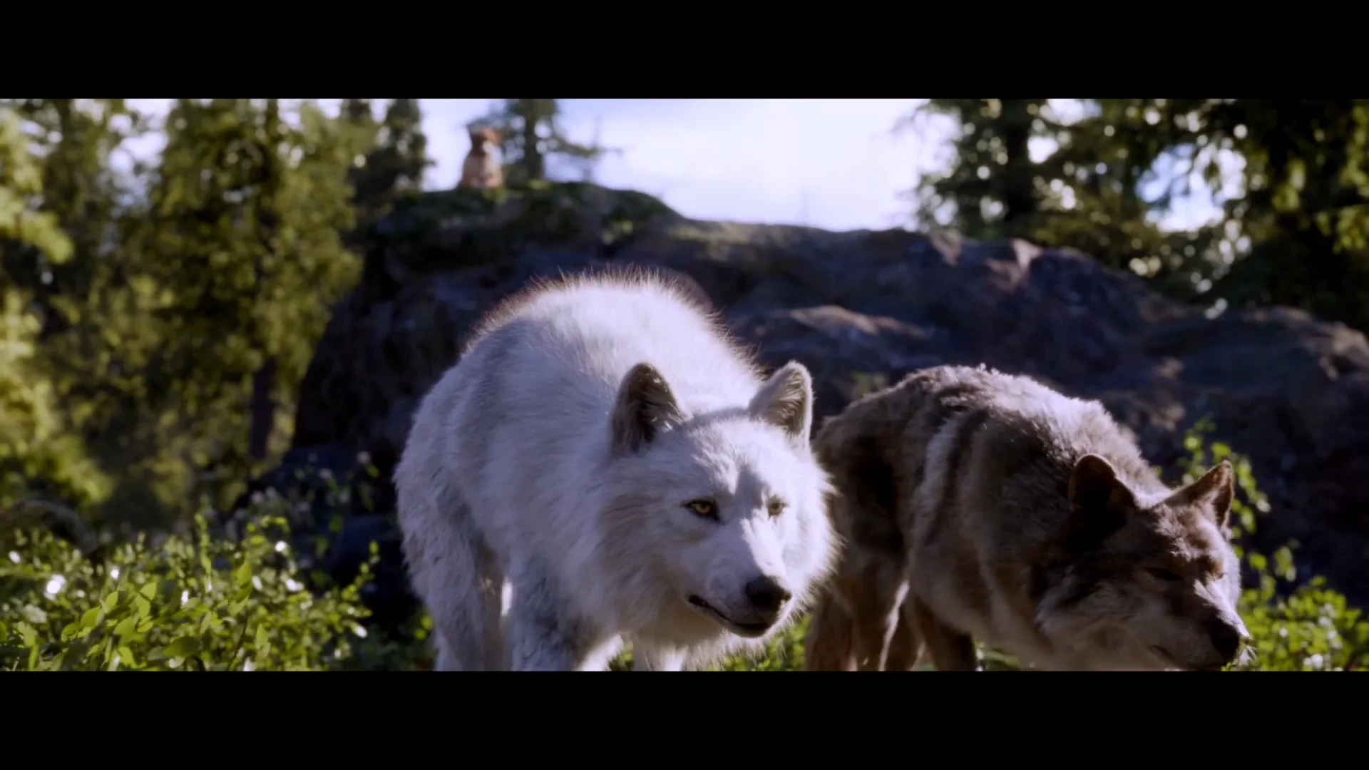 The Call Of The Wild - Animation Reel on Vimeo