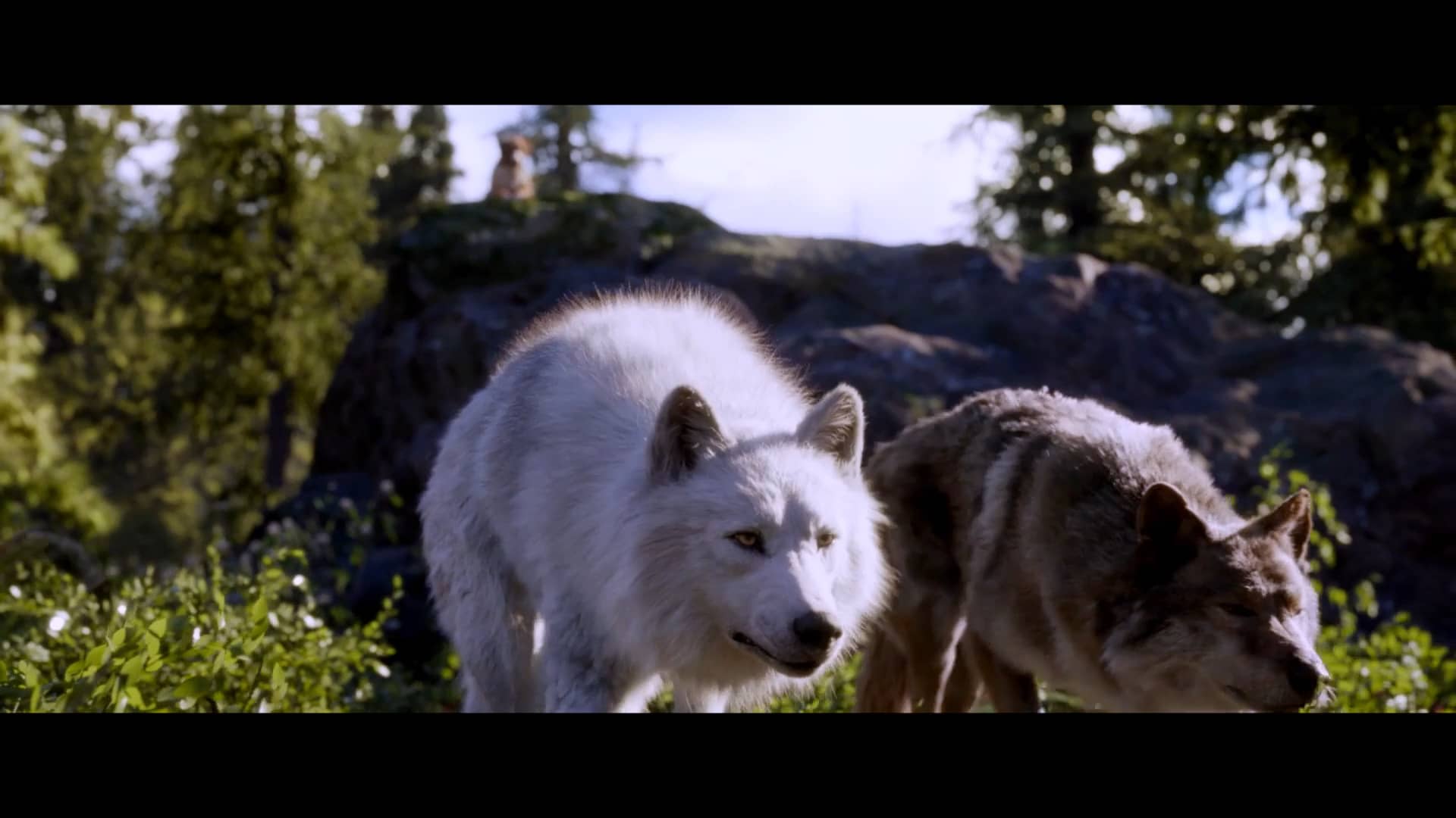 The Call Of The Wild - Animation Reel on Vimeo