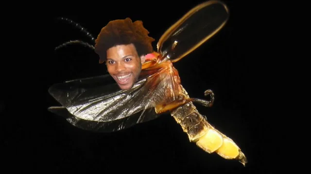 Scuffed Fireflies