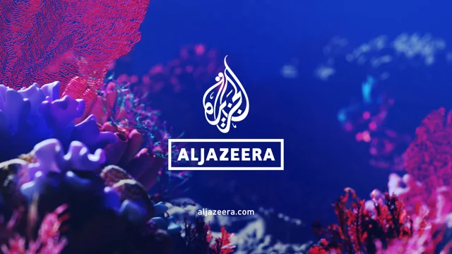 Small Network Logo Al Jazeera