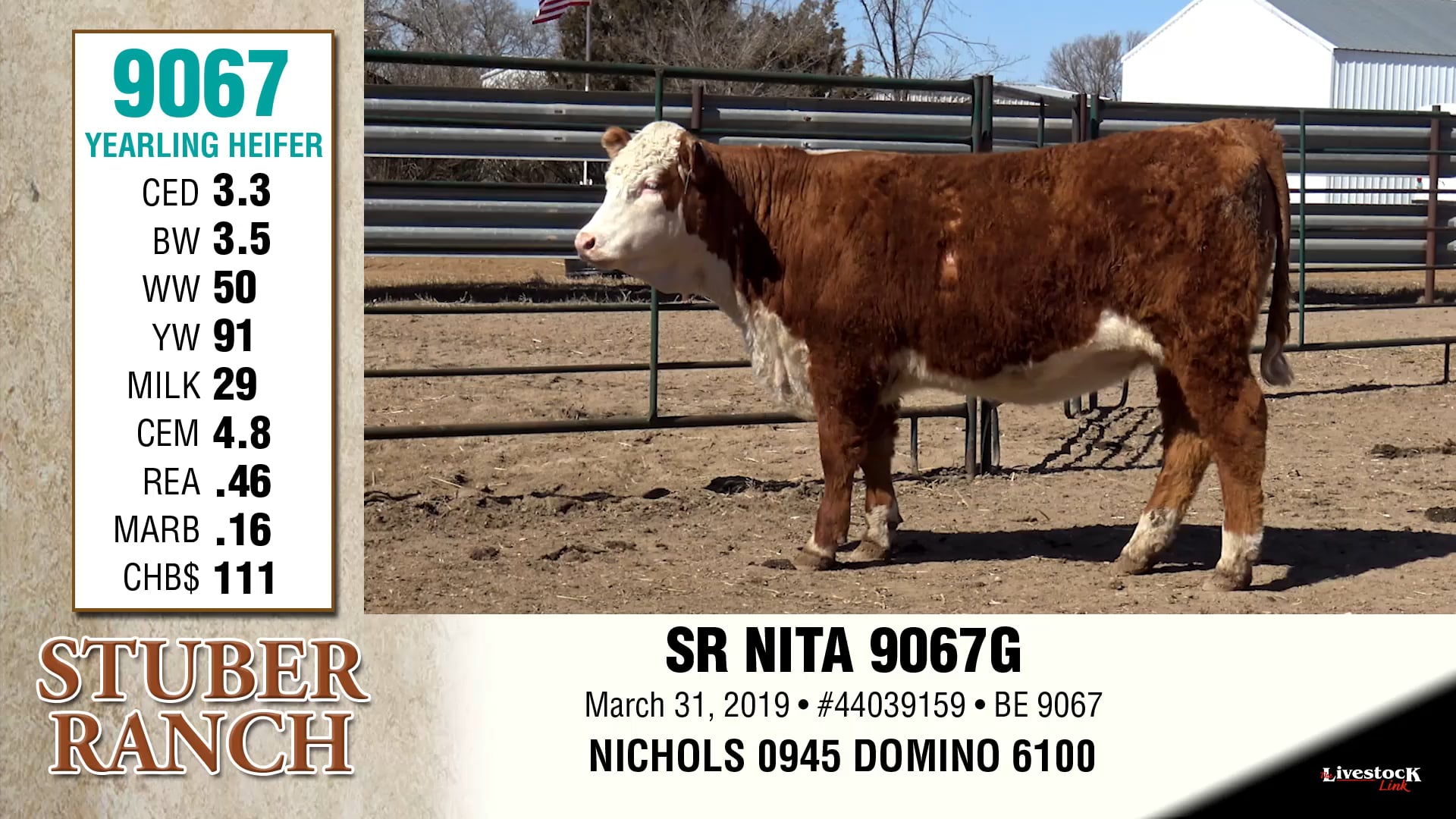 Stuber Ranch - Lot 9067 on Vimeo