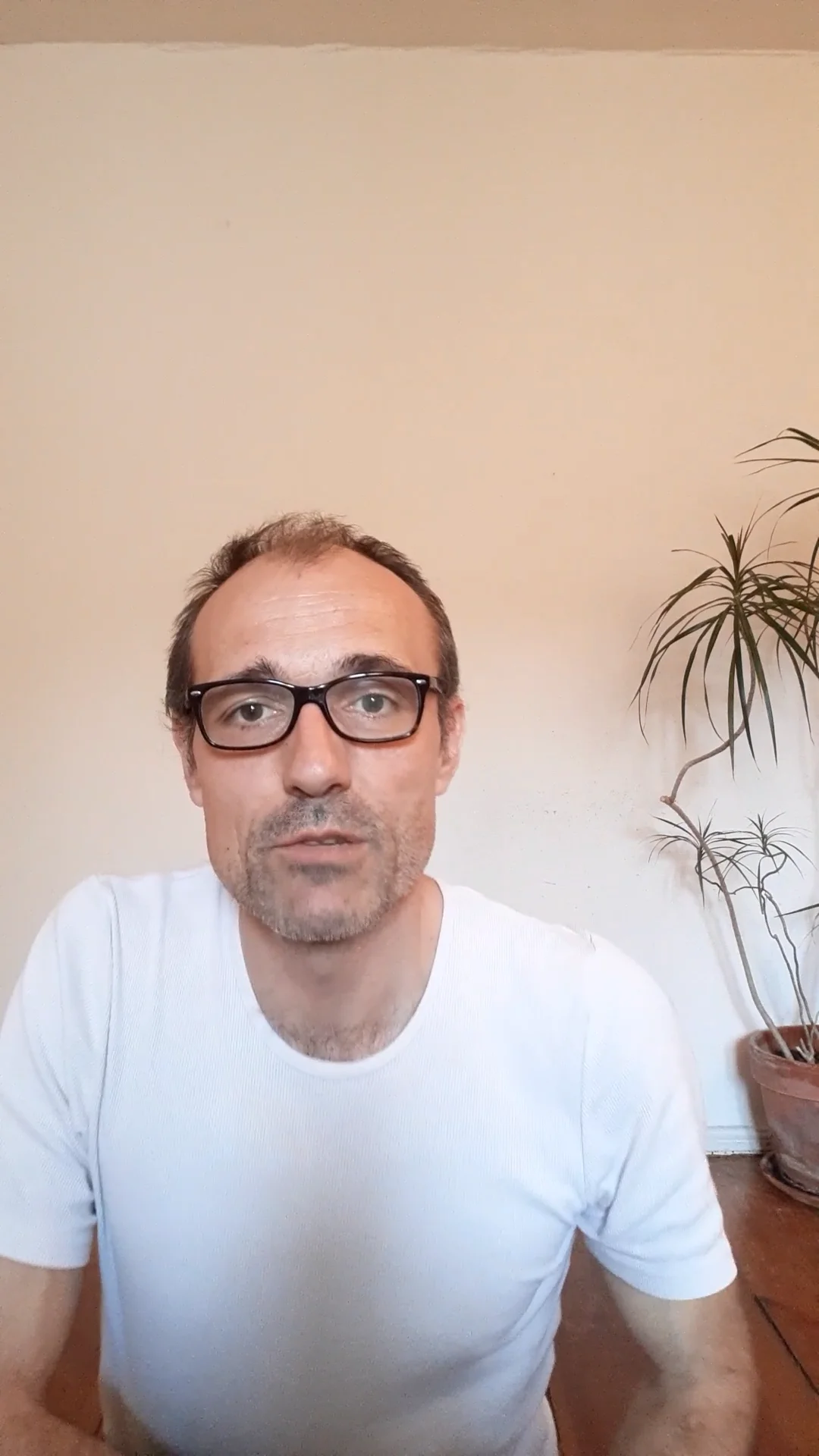 TANZ IN SCHULEN für zuhause: Warm-up mit Ante Pavic on Vimeo