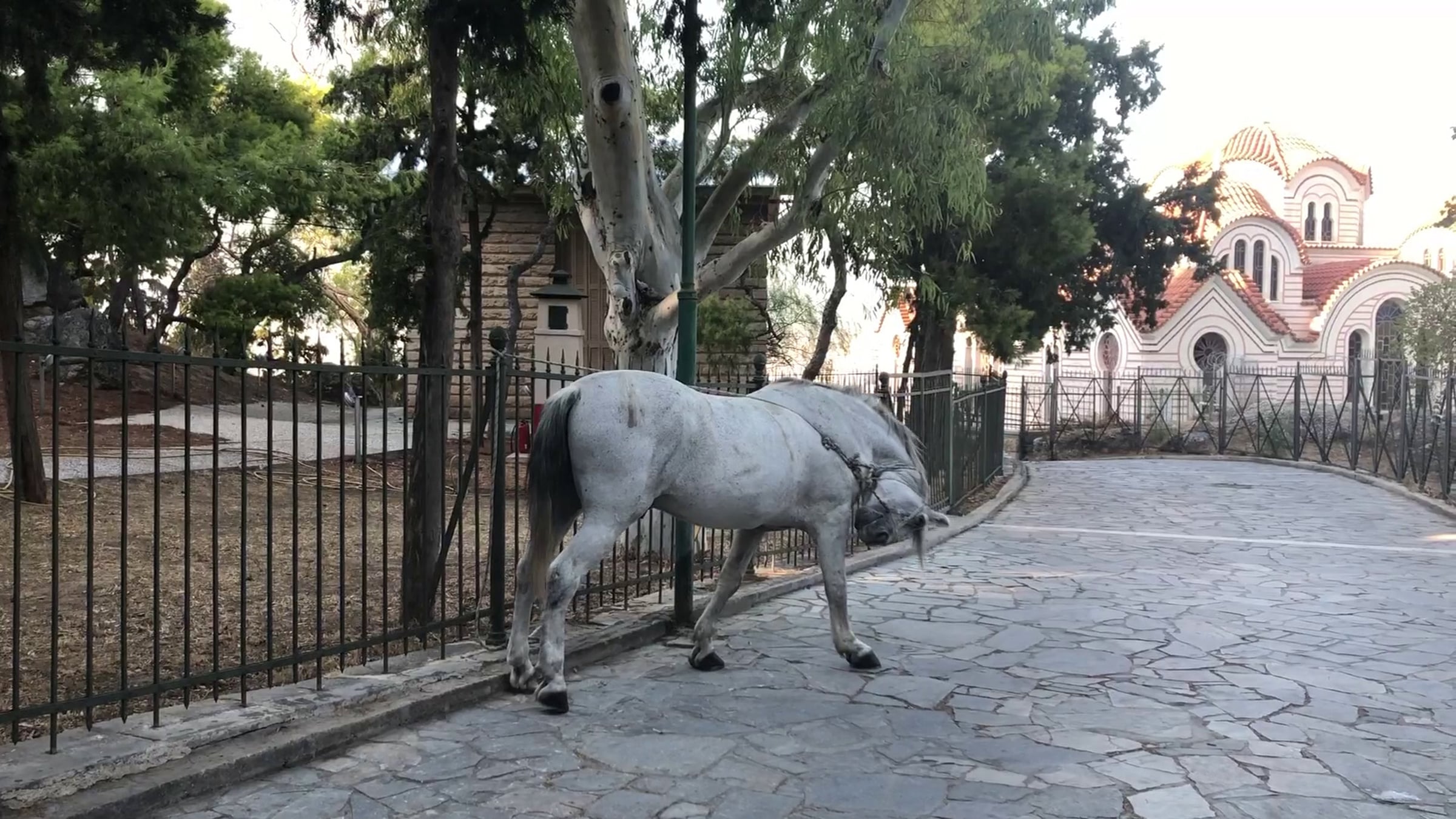 12 Scenes of Overflow, 2020