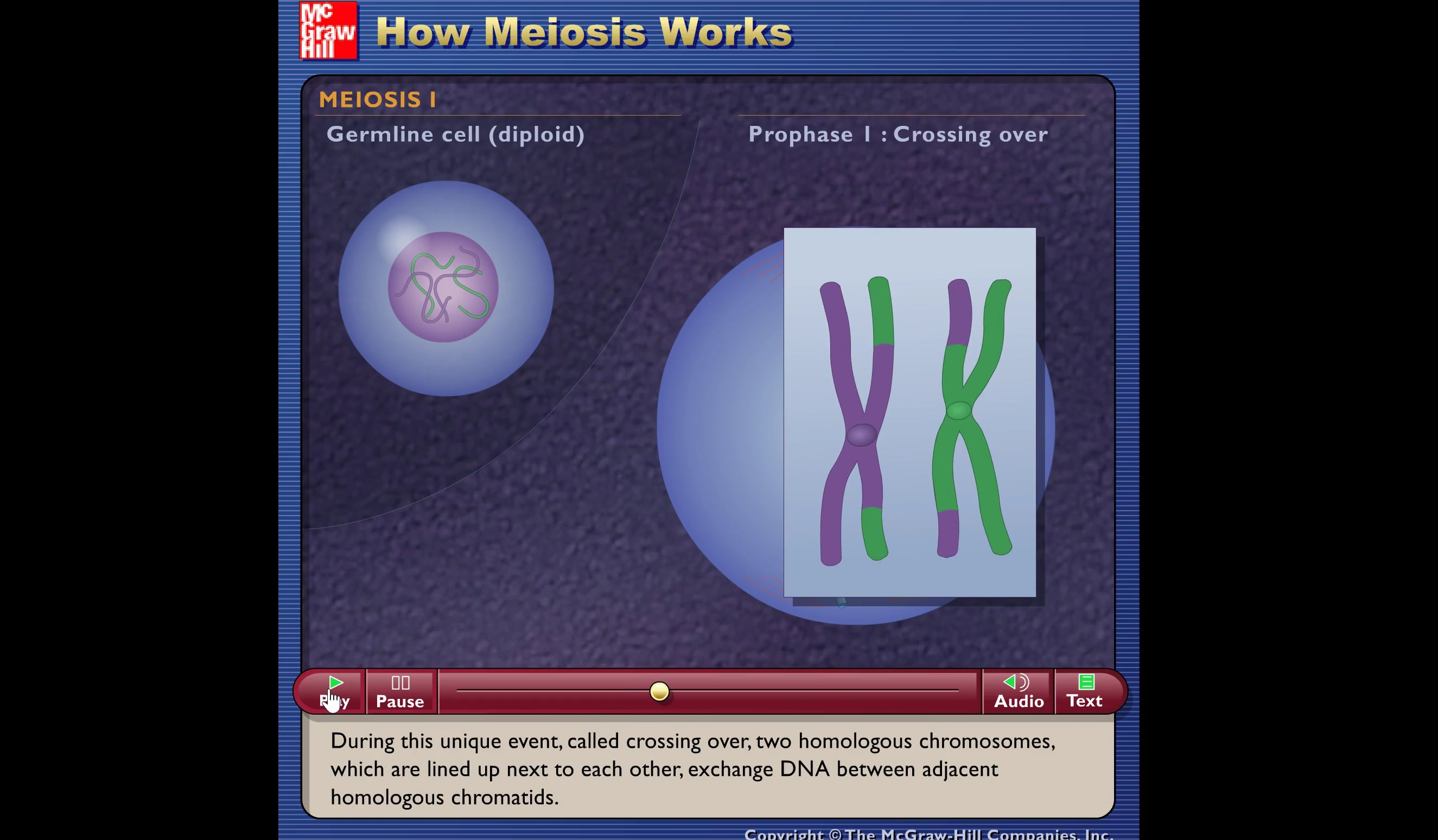 McGraw Hill How Meiosis Works