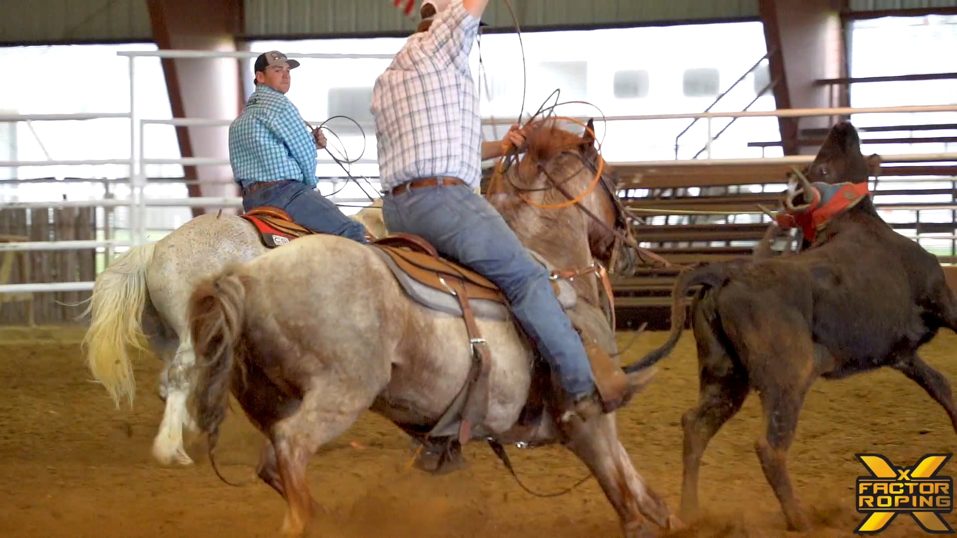 Feeding Your Rope with Tyler Wade | X Factor Roping