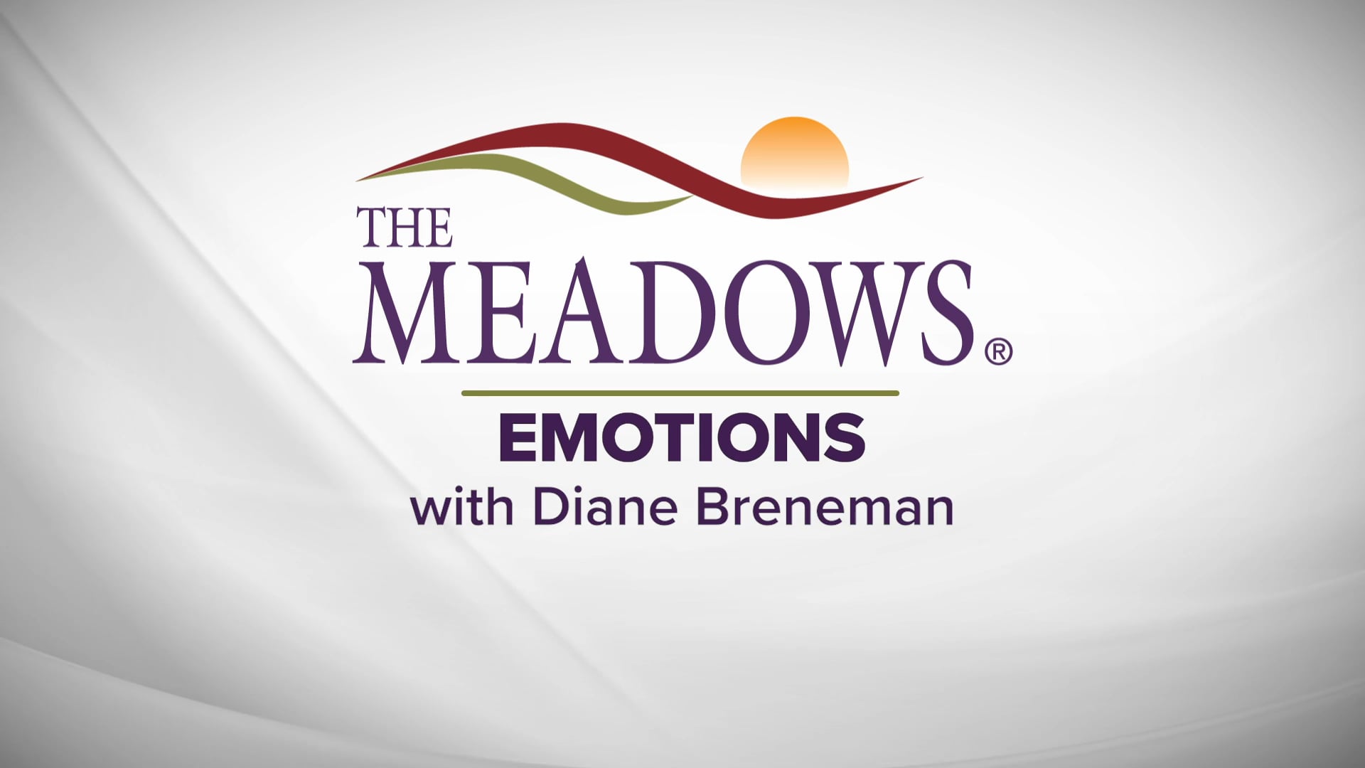 Family Sessions - Emotions with Diane Breneman on Vimeo