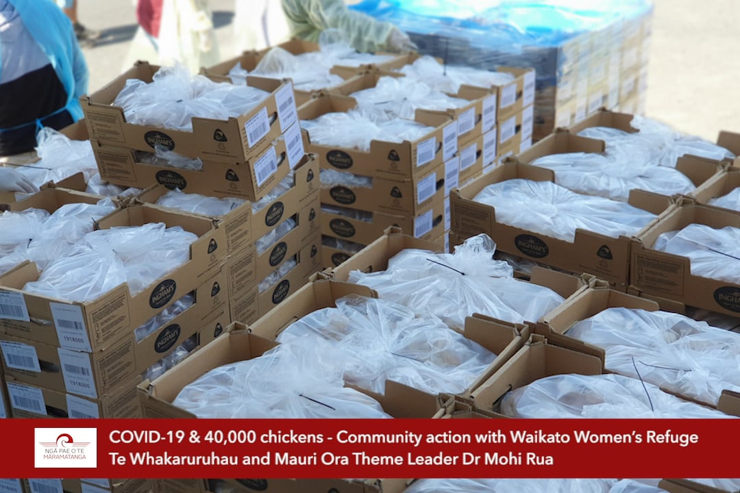 Mohi Rua 40000 Chickens on Vimeo