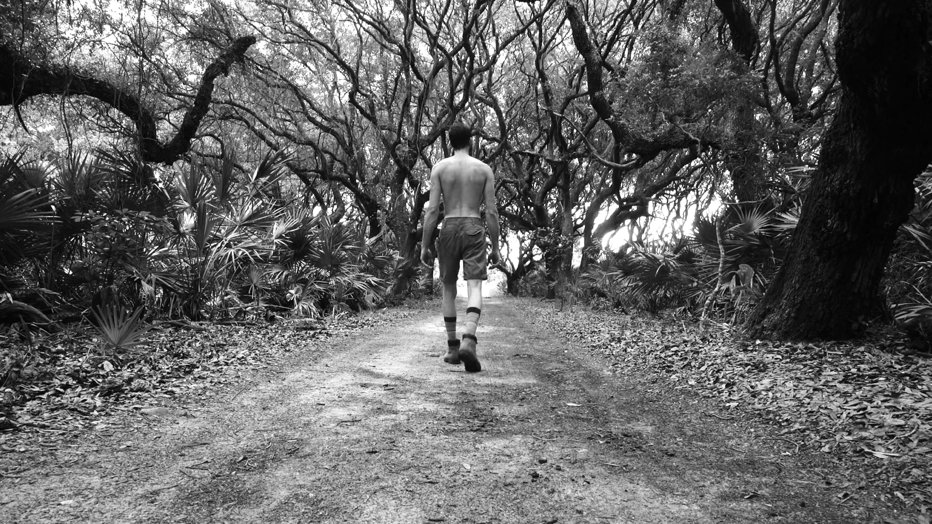 Director's Reel | Jake Macpherson on Vimeo